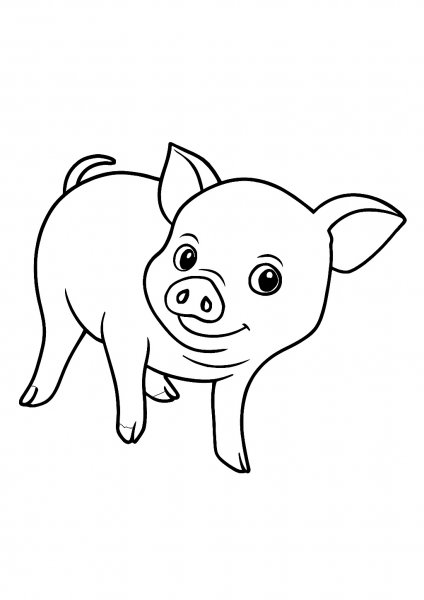 Baby Pig coloring pages