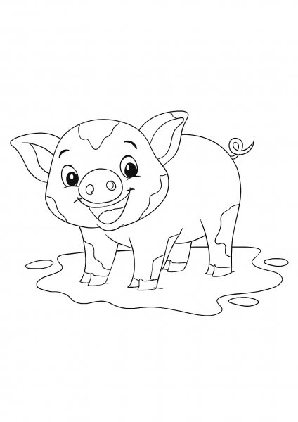 Baby Pig coloring pages