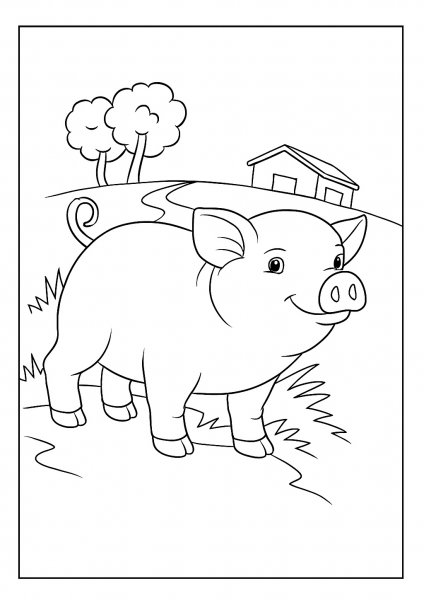 Baby Pig coloring pages