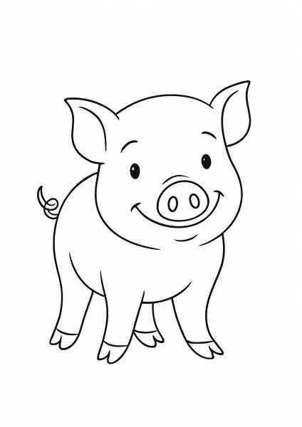 Baby Pig coloring pages