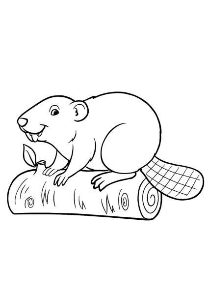 Beaver coloring pages