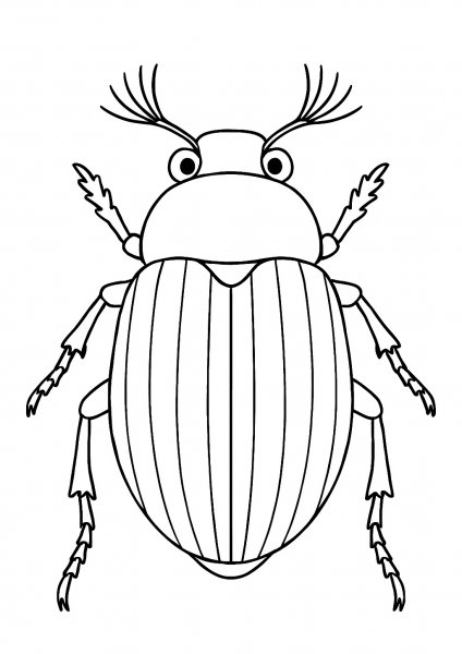 Beetle coloring pages