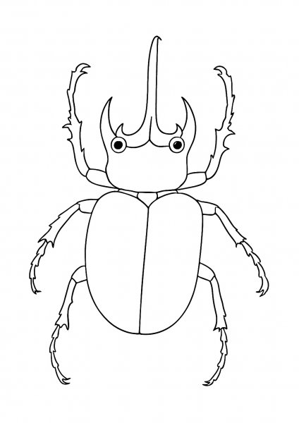 Beetle coloring pages