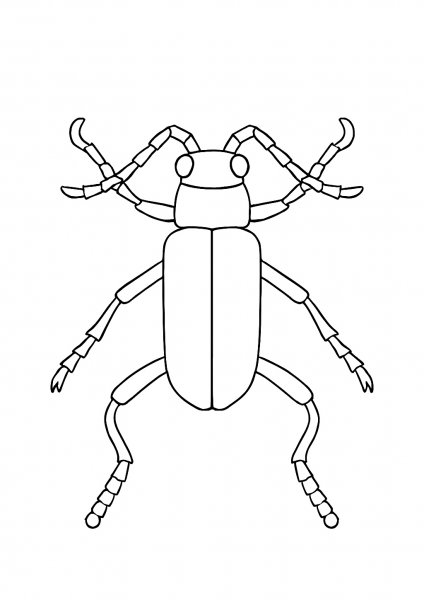 Beetle coloring pages