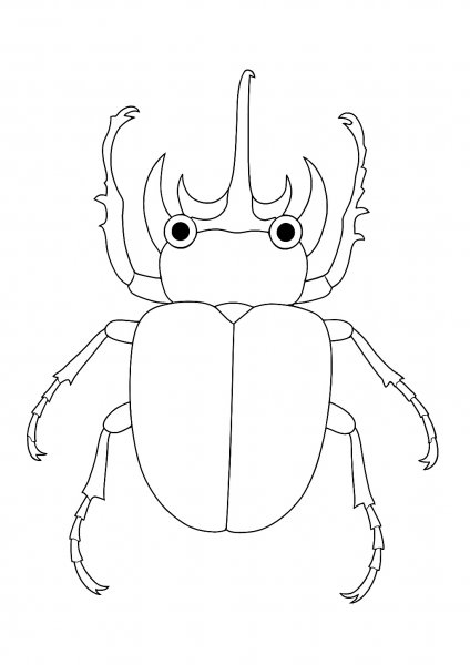Beetle coloring pages