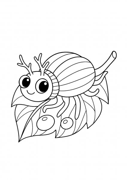 Beetle coloring pages