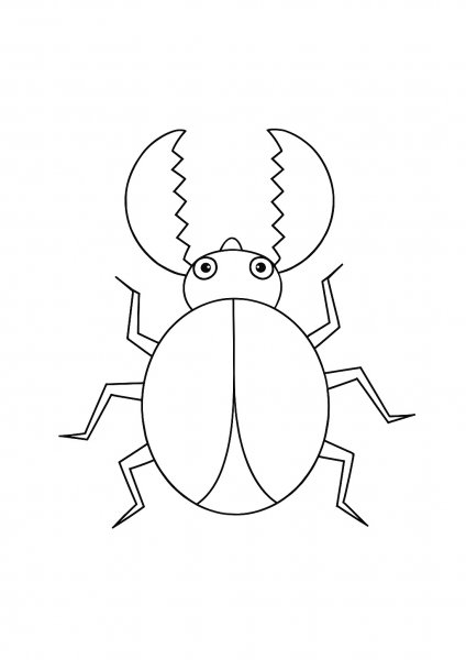Beetle coloring pages