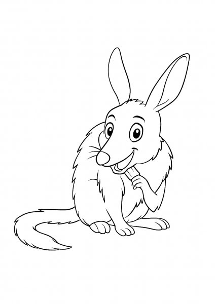 Bilby coloring pages