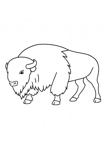 Bison coloring pages