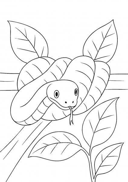 Boa constrictor coloring pages
