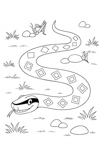 Boa constrictor coloring pages