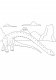 Brontosaurus coloring pages