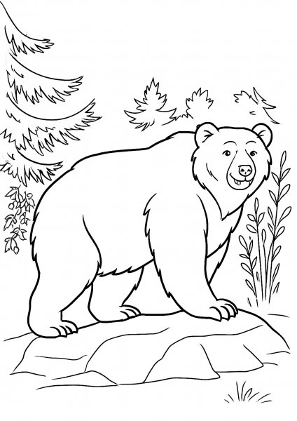 Brown Bear coloring pages