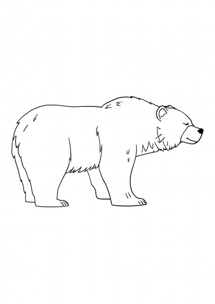 Brown Bear coloring pages