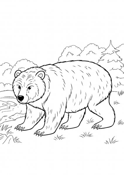Brown Bear coloring pages