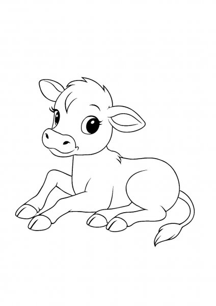 Calf Coloring Pages (Free Printables for Kids)