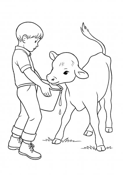 Calf Coloring Pages (Free Printables for Kids)