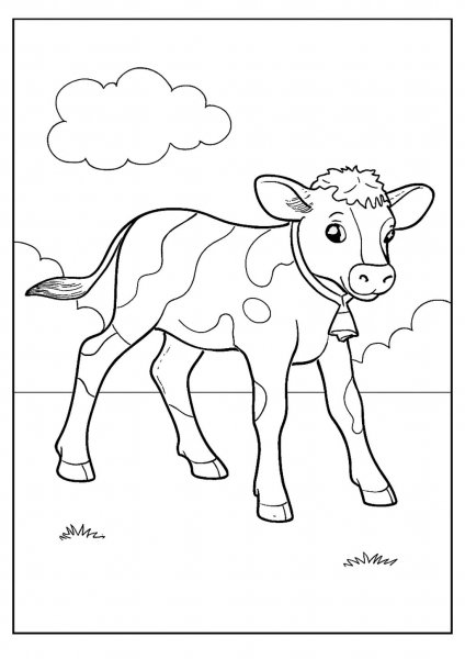 Calf coloring pages
