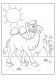 Camel coloring pages