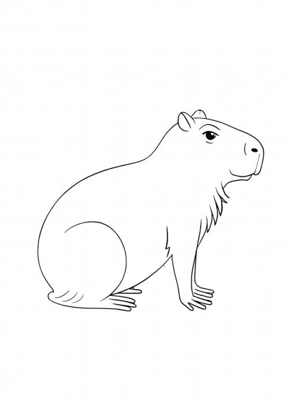 Capybara Coloring Pages (Free Printables for Kids)