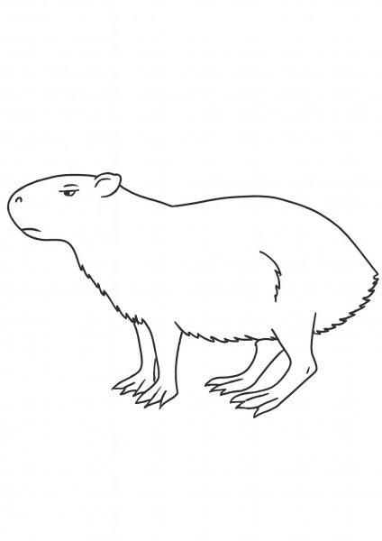 Capybara Coloring Pages (Free Printables for Kids)