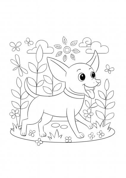 Chihuahua coloring pages