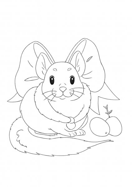 Chinchilla Coloring Pages (Free Printables for Kids)