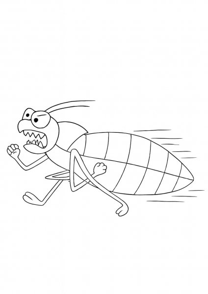 Cockroach coloring pages