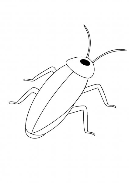 Cockroach coloring pages