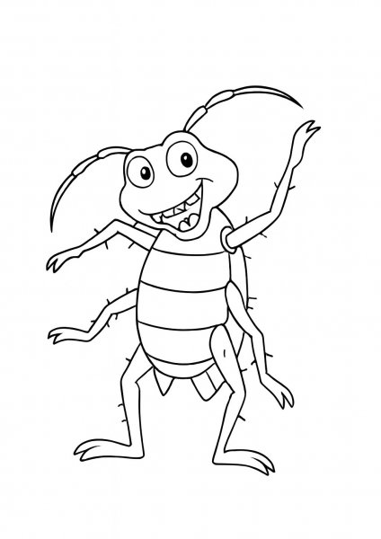 Cockroach coloring pages