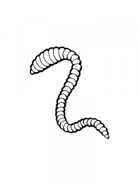 Earthworm coloring pages