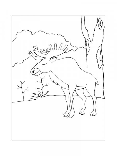 Elk coloring pages