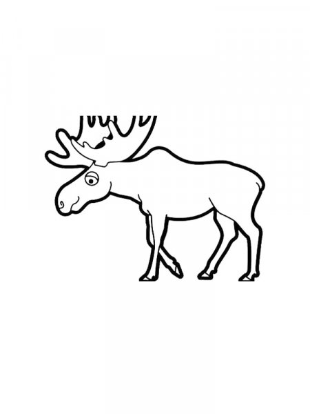 Elk coloring pages