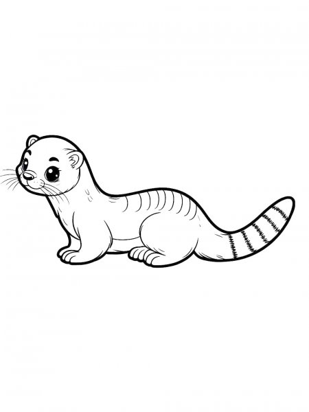 Ferret coloring pages