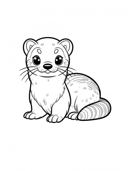 Ferret coloring pages