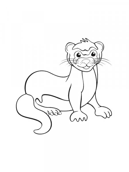 Ferret coloring pages