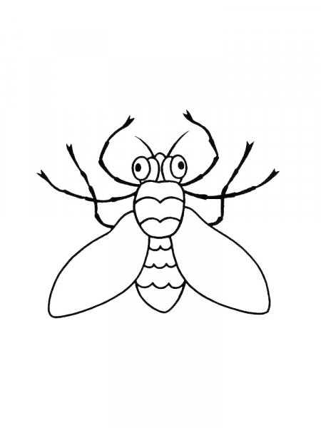 Fly coloring pages