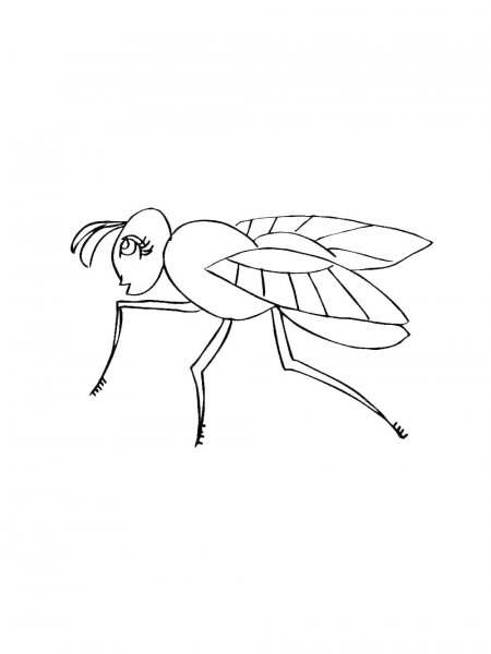 Fly coloring pages