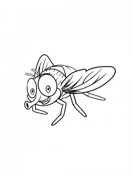 Fly coloring pages