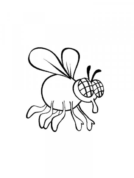 Fly coloring pages