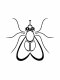 Fly coloring pages