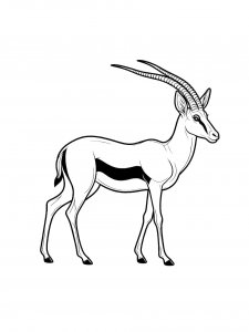 Gazelle coloring pages