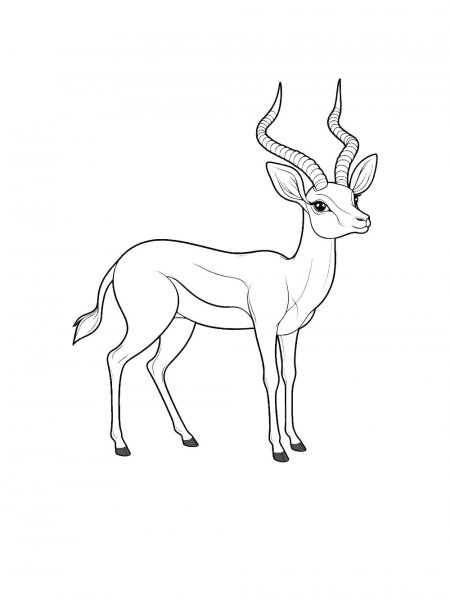 Gazelle coloring pages