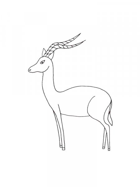 Gazelle coloring pages