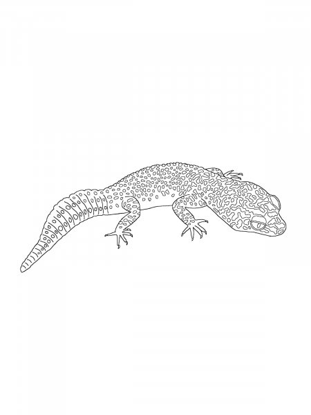 Gecko coloring pages