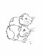 Guinea Pig coloring pages
