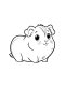 Guinea Pig coloring pages