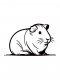 Guinea Pig coloring pages