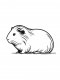 Guinea Pig coloring pages