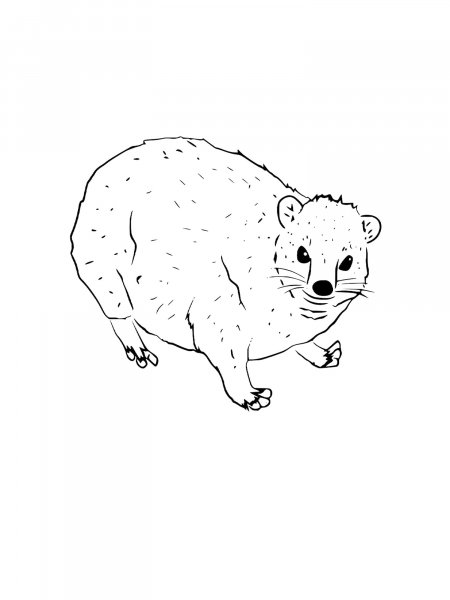 Hyrax coloring pages